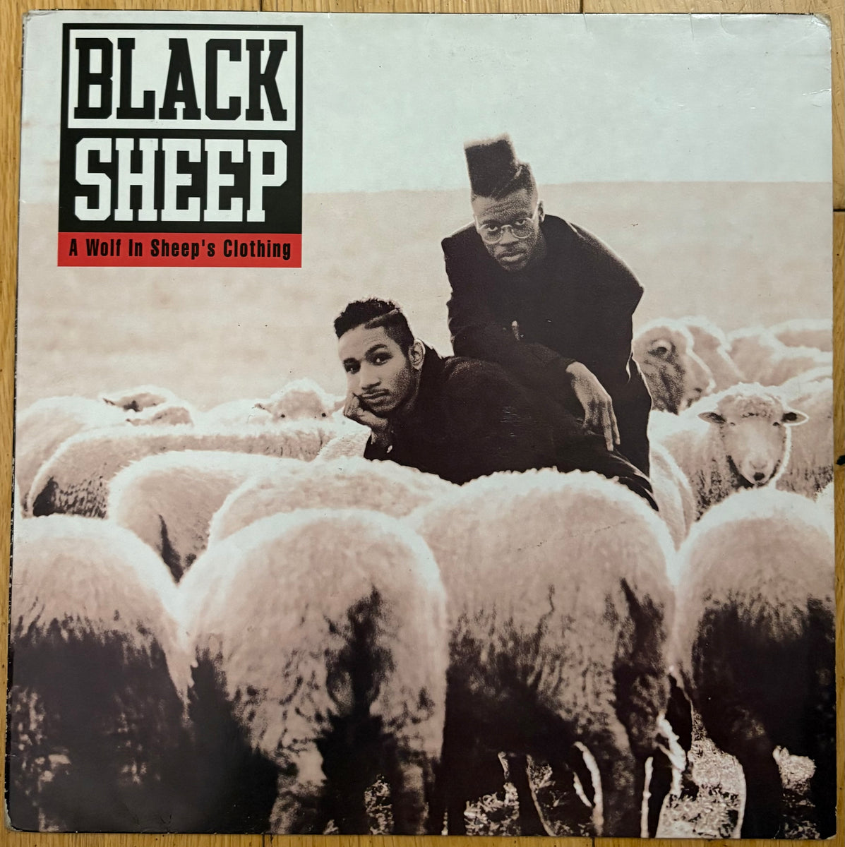 Black Sheep - A Wolf In Sheep’s Clothing – Friendly Records Ltd